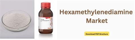 Hexamethylenediamine Key Regions And Market Penetration Strategies
