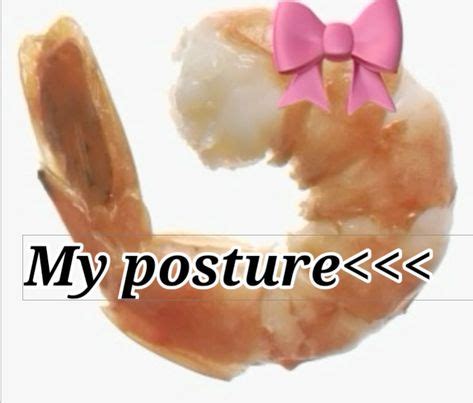 Shrimp Posture
