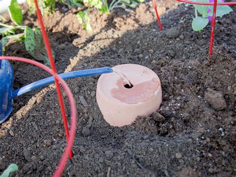 Diy Terra Cotta Olla Self Watering System For Gardening Hgtv