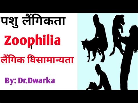 पशु लैंगिकता क्या है What Is Zoophilia Sex With Animals लैंगिक