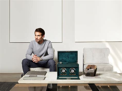 Wolf Protecting Your Legacy With Elegant Storage