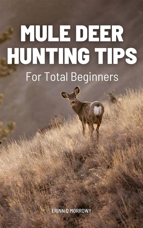 Mule Deer Hunting Tips For Beginners At James Winkel Blog