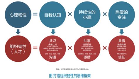 不确定时代的生存法则：如何打造组织韧性？ 腾讯新闻