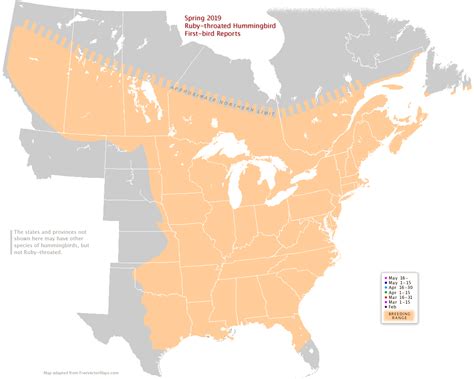 Spring 2018 Migration Of Ruby Throated Hummingbirds