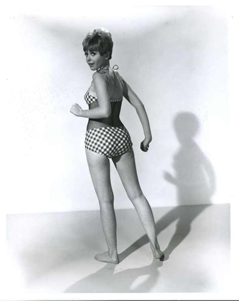 Slice Of Cheesecake Deborah Walley Pictorial