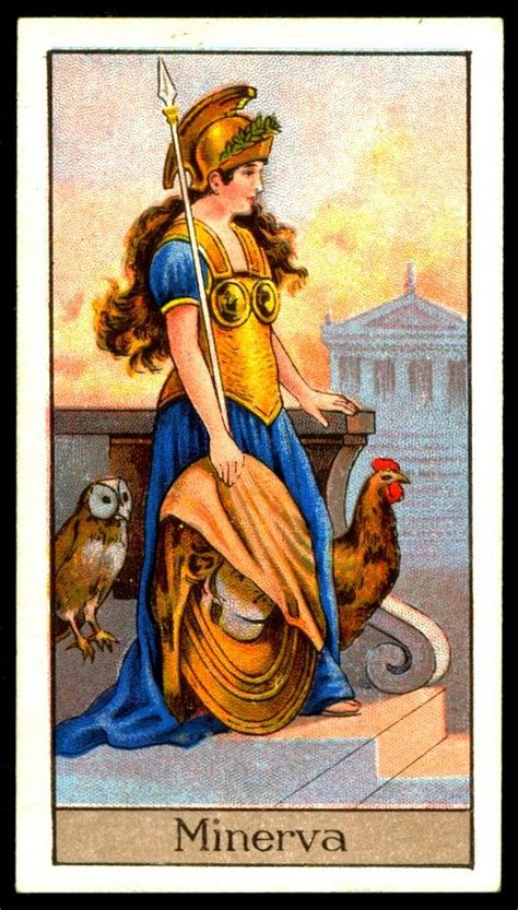 Cigarette Card Minerva Artofit