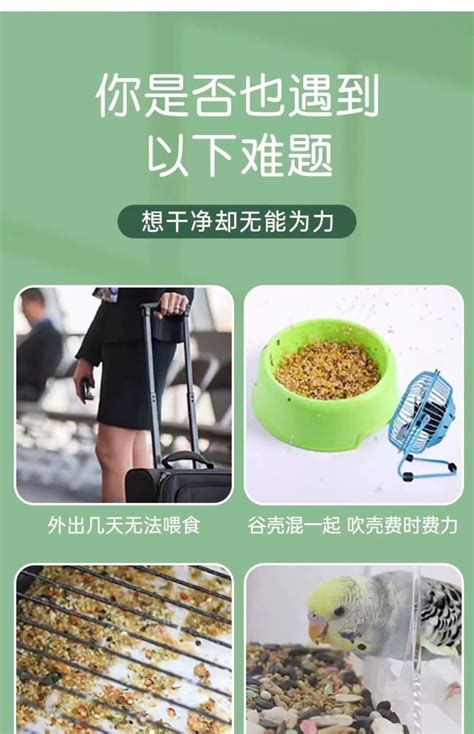 📣爆款推薦📣鸚鵡自動下料器防甩鳥食盒虎皮玄風鸚鵡防濺撒自動餵鳥器 下料器防濺鳥食盒 鳥類用品 餵鳥器 飼料盒p1aq 蝦皮購物