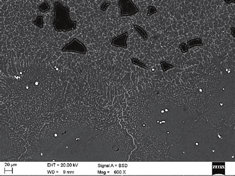 Scanning Electron Microscope Micrograph Of Laser Modified Surface Of