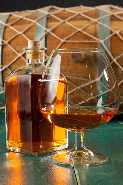 10 Types Of Brandy A Spectacled Owl