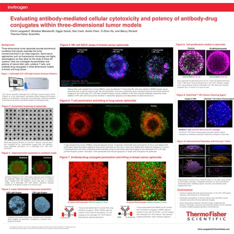 Pdf Evaluating Antibody Mediated Cellular Cytotoxicity And Potency Of Antibody Drug Conjugates