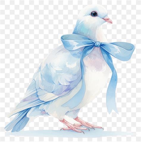 Dove Hands Images Free Photos Png Stickers Wallpapers And Backgrounds