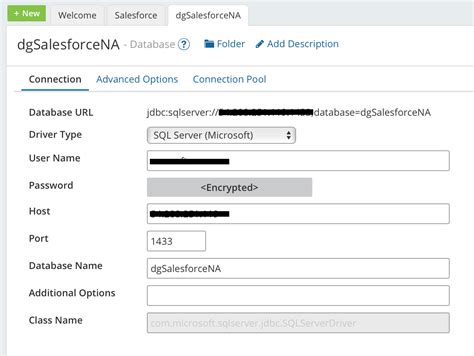 using syniti connect with collect software support