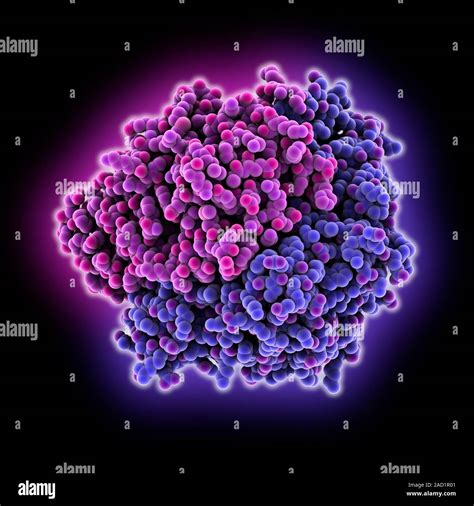 Model Compound Hydrogenase At Beth Meeks Blog