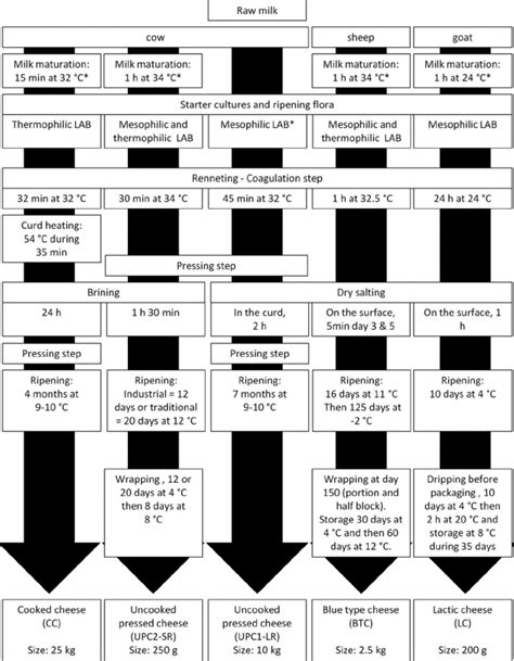 Flow Diagram Of The Characteristics Of The Different Cheese Making Download Scientific Diagram