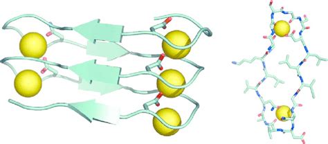 A Side View Of A β Roll Structure The β Roll Structure Formed By