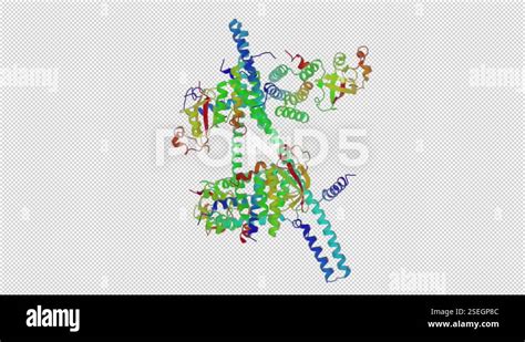 Crystal Structure Of Sars Cov Super Complex Of Non Structural Proteins
