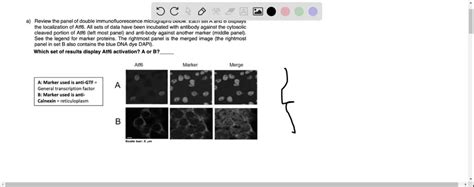 solved the paper states the following degenerate oligonucleotides