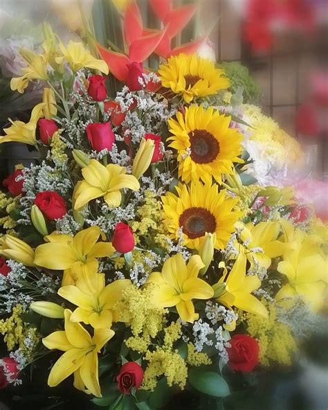 Tropical Flowers Tropicalflowers Js • Instagram Photos And Videos