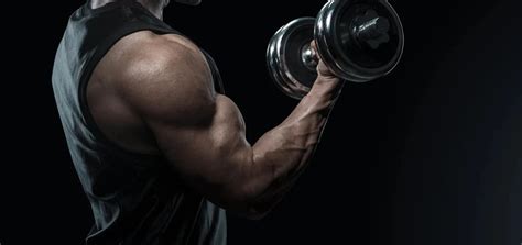 Scala Di Borg O Scalarpe Cosè Misura Utilizzo Aesthetic Gym