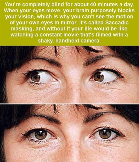 Saccadic Masking Definition Benefits And Drawbacks