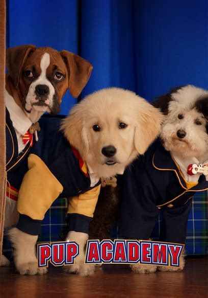 Watch Pup Academy Streaming Online Tubi Free Tv