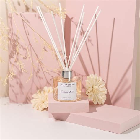 120ml Fragrance Diffusers Fragrance Diffuser Fragrance Diffuser