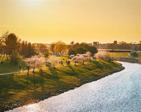 A Aleksandravičius Added A New A Aleksandravičius