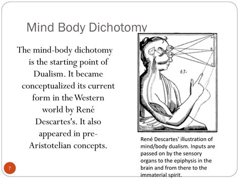 Ppt Mindbody Dichotomy Powerpoint Presentation Free Download Id