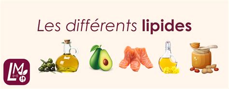 Les Différents Lipides Lise Diététique