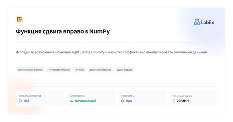 Освоение функции сдвига вправо в Numpy Labex