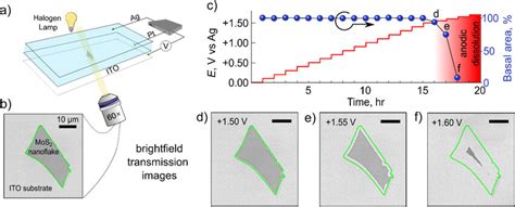 A Brightfield Imaging Approach To Quantify Anodic Dissolution Rates