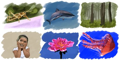 Are All Plants Multicellular Organisms At Sandra Miles Blog