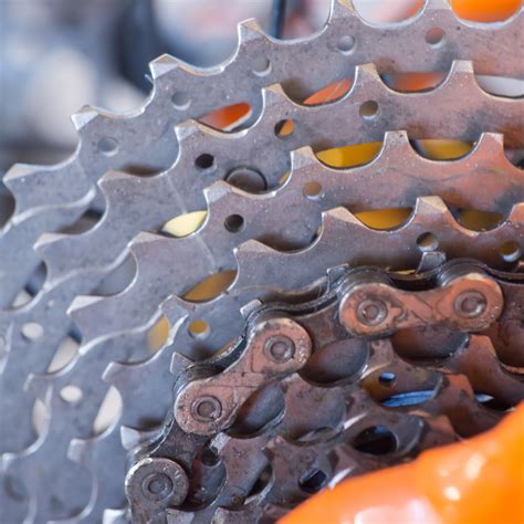 7 Speed Bike Gears Explained In Simple Terms — Velorution