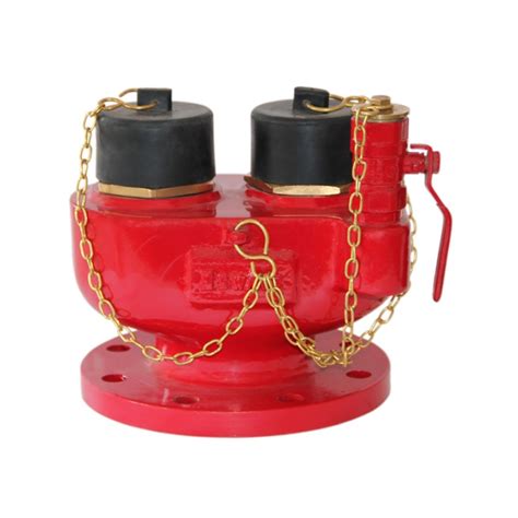 Dry Riser Two Way Inlet Breeching Newage Fire Protection