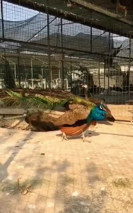 Bhupesh Patil Posted On Linkedin