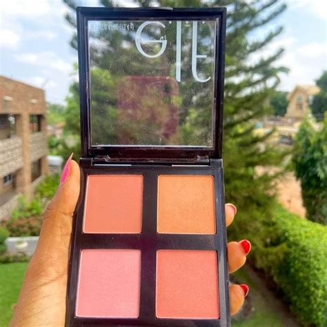 Elf Powder Blush Palette Cheek Palette Mix N Match Blush Shades