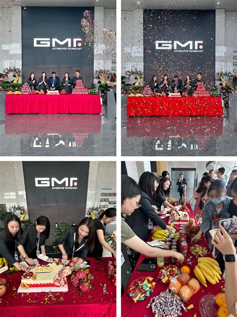 浙江金麦特自动化系统有限公司