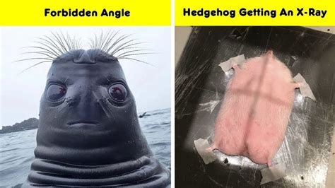 Photos That Provide “alternate Angles” On Events Places And Things