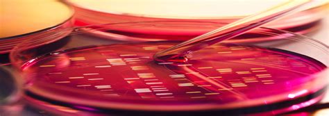 International Forensic Sciences