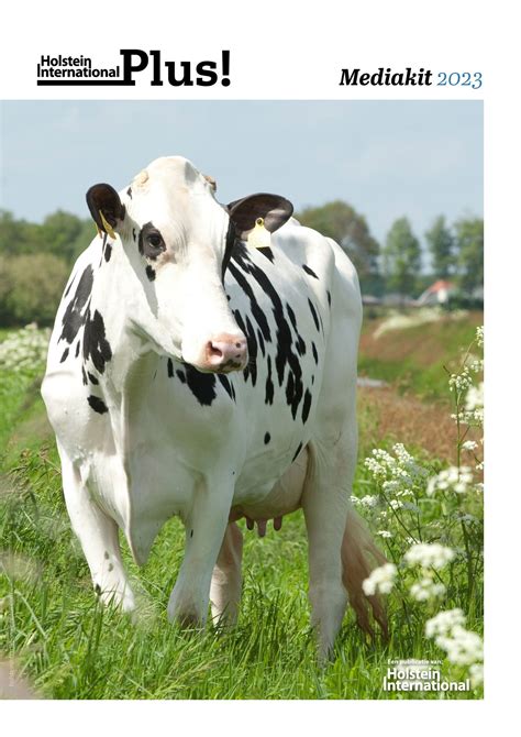 Marketing Mediakit Hip2023 Page 1