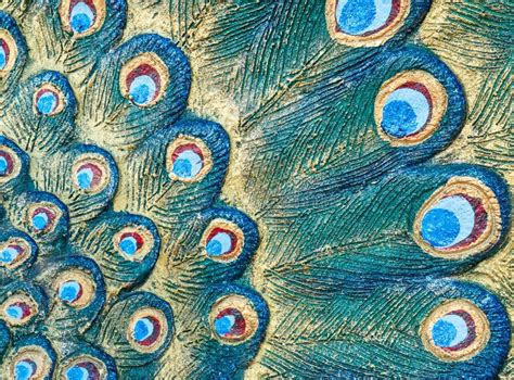 Detail Of The Peacock Tail Pattern Stock Image Image Of Feather