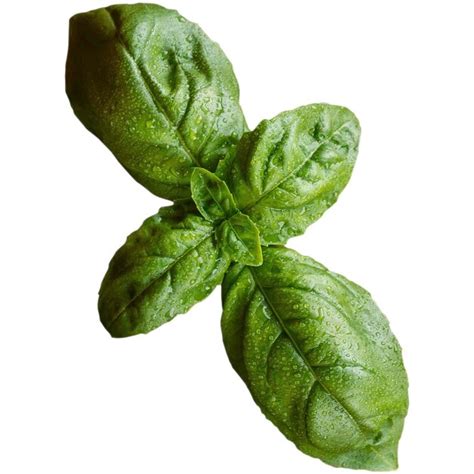 Premium Photo Leaves Pattern