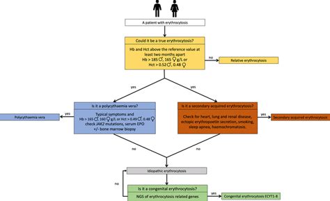 Simple Three Step Clinical Algorithm For The Diagnosis Of Patients With