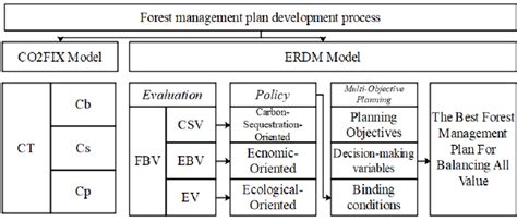 Forest Management Plan Development Process Download Scientific Diagram