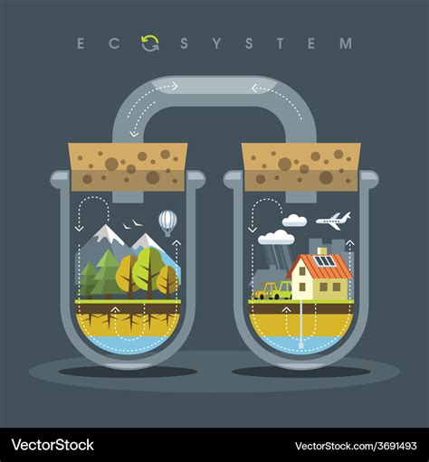 Flat Ecosystem Royalty Free Vector Image Vectorstock