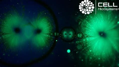 Development Of Ipscs From Reprogramming To Functional Assessment