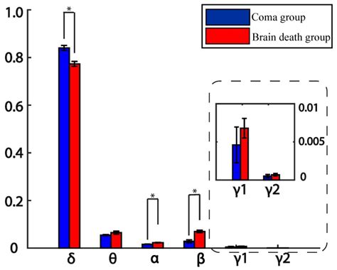 A Hybrid System For Distinguishing Between Brain Death And Coma Using