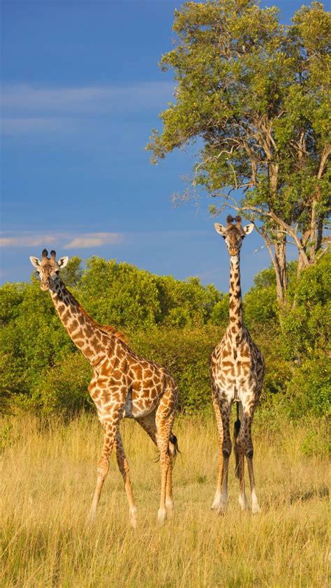 Locations Wildlife Photography