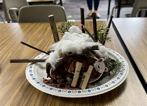 Internship Experiences