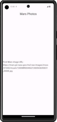 Load And Display Images From The Internet Android Developers